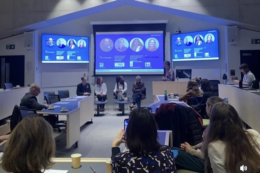 Maternal Psychological Wellbeing: What We Heard — and What Comes Next ...
